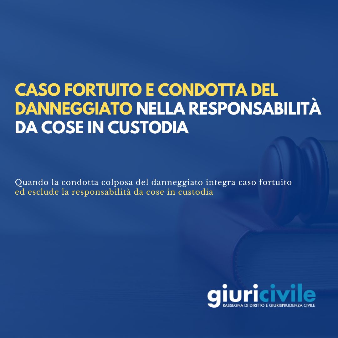 Responsabilità da custodia: caso fortuito e condotta della vittima